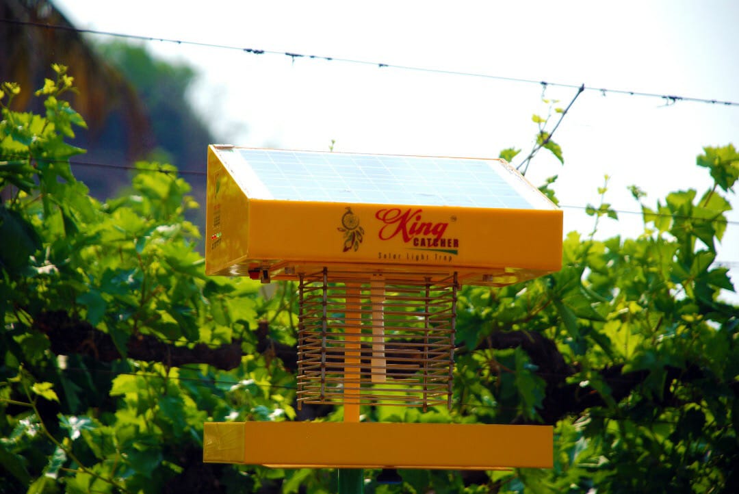 King Catcher Solar Insect Light Trap - Agridisk